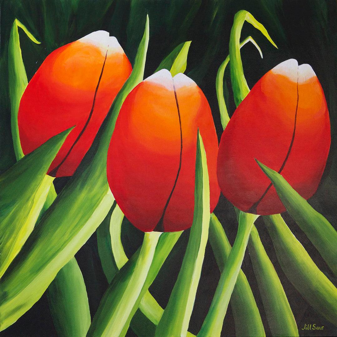 Nature and Still Life – Jill Saur Fine Art